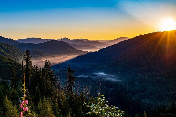 Ketchikan Backcountry Driving Tour Through the Tongass - What to Expect from the Itinerary