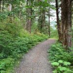 Ketchikan Exclusive Private Group Tour (Price up to 11 Passengers) - The Sum Up: Is This Tour Worth It?