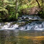 Ketchikan Magical Old-Growth Creek Trek Guided Tour - The Practical Side: Price, Duration, and Value