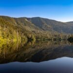 Ketchikan Mountain Lake Trek to Avalanche Chute - Why This Tour Stands Out