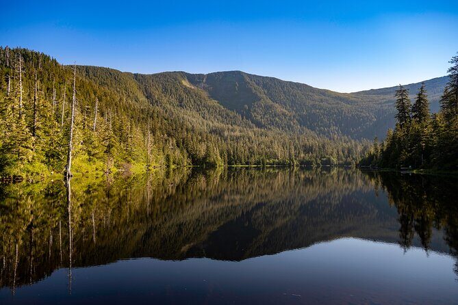 Ketchikan Mountain Lake Trek to Avalanche Chute - Why This Tour Stands Out