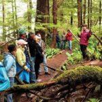 Ketchikan Rainforest Canoe and Nature Walk - The Experience—What You’ll Love