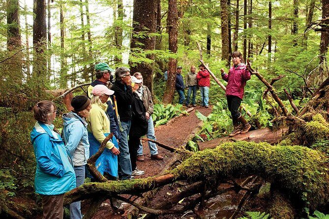 Ketchikan Rainforest Canoe and Nature Walk - The Experience—What You’ll Love
