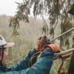 Ketchikan: Rainforest Canopy & Zipline Adventure - Who Will Love This Tour?