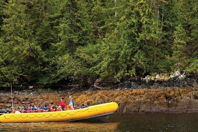 Ketchikan Rainforest Island and Boat Adventure - The Bottom Line