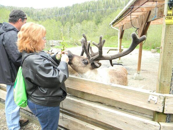 Ketchikan Rainforest Sanctuary and Totem Park - In-Depth Look at the Itinerary