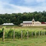 Keuka Lake Winery Tour - The Itinerary: What to Expect on the Day