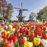 Keukenhof & FlowerFarm Tour From Amsterdam Skip-The-Line tickets - The Itinerary in Detail