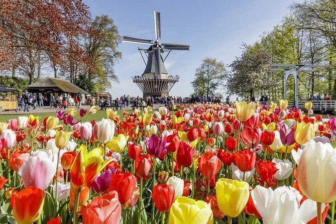 Keukenhof & FlowerFarm Tour From Amsterdam Skip-The-Line tickets - The Itinerary in Detail