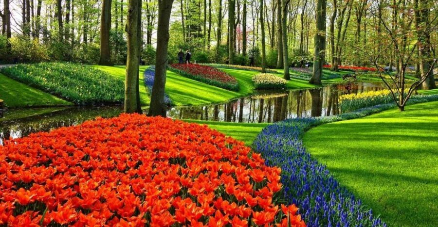 Keukenhof Gardens and Tulip Experience Tour from Amsterdam - The Value and Practicalities