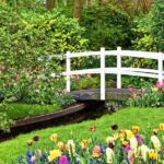 Keukenhof Gardens and Tulips Private Tour from Amsterdam - What to Expect from the Itinerary