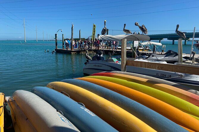 Key Largo and Islamorada Private Tour by Cabriolet Bus - The Value of a Private, Guided Experience