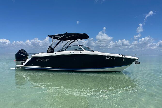 Key Largo Bay Sunset Tour - Why This Tour Offers Great Value
