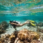 Key Largo: Molasses Reef Novice to Intermediate Dive - Why This Tour Works for Different Travelers
