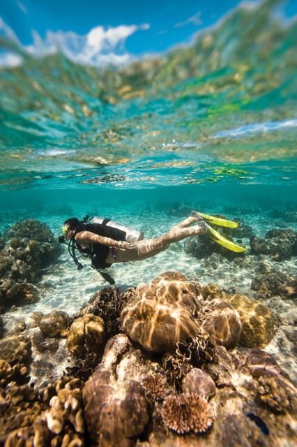 Key Largo: Molasses Reef Novice to Intermediate Dive - Why This Tour Works for Different Travelers