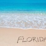 Key Largo Private Transfers (up to 14 passengers) - Who is This Service Perfect For?