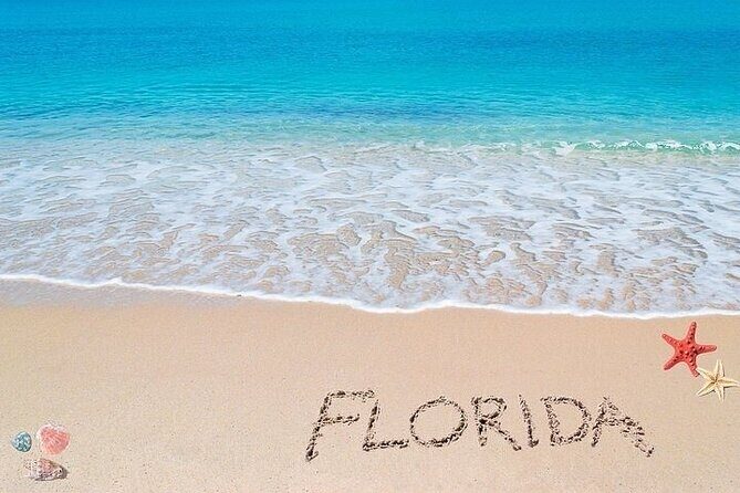 Key Largo Private Transfers (up to 14 passengers) - Who is This Service Perfect For?