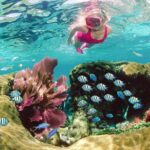 Key Largo Snorkeling Tour - rental mask, fins and vest INCLUDED - An In-Depth Look at the Snorkeling Adventure in Key Largo