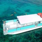 Key Largo Two Reef Snorkel Tour - All Snorkel Equipment Included! - Marine Life Encounters: What You Might See