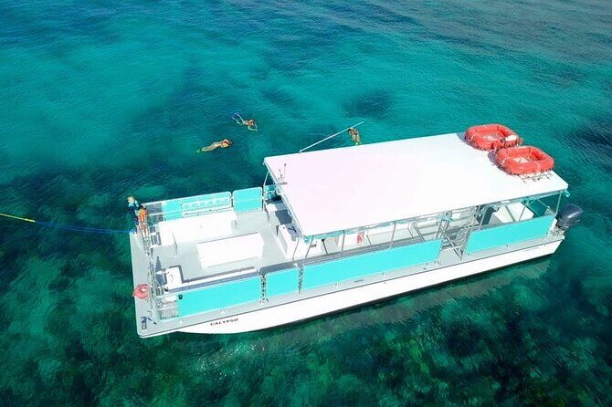 Key Largo Two Reef Snorkel Tour - All Snorkel Equipment Included! - Marine Life Encounters: What You Might See