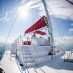 Key West: 3-Hour Afternoon Reef Snorkel with Drinks - Authentic Reviews and What They Say