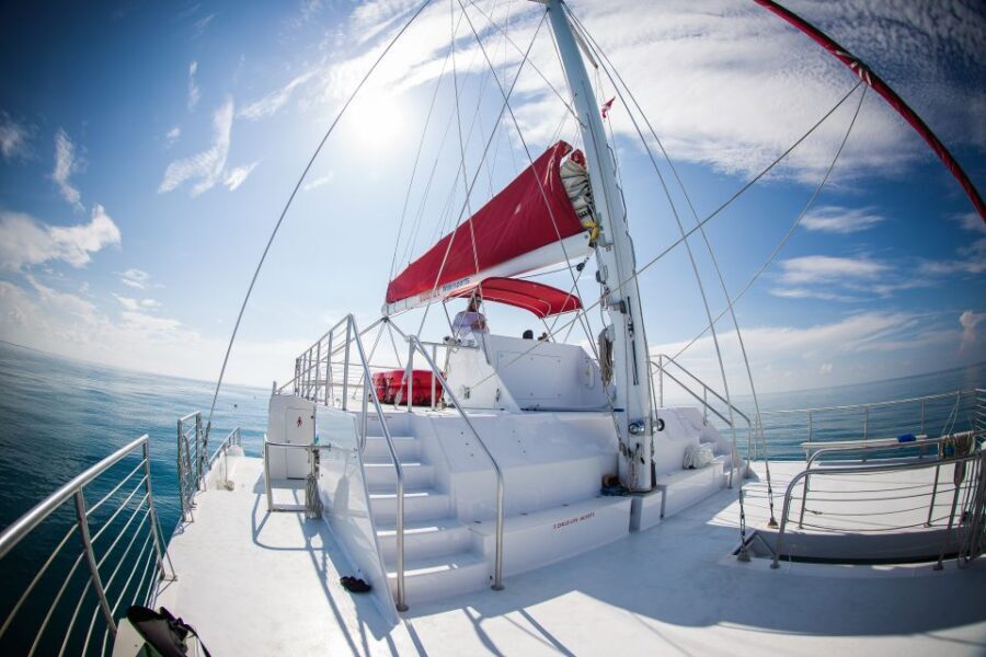 Key West: 3-Hour Afternoon Reef Snorkel with Drinks - Authentic Reviews and What They Say