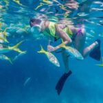 Key West: Afternoon Reef Snorkel Tour with Open Bar - The Snorkeling Experience: Details & Authentic Insights