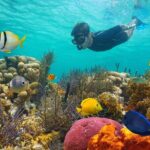 Key West Afternoon Reef Snorkeling with Open Bar - Snorkeling: Equipment & Instruction