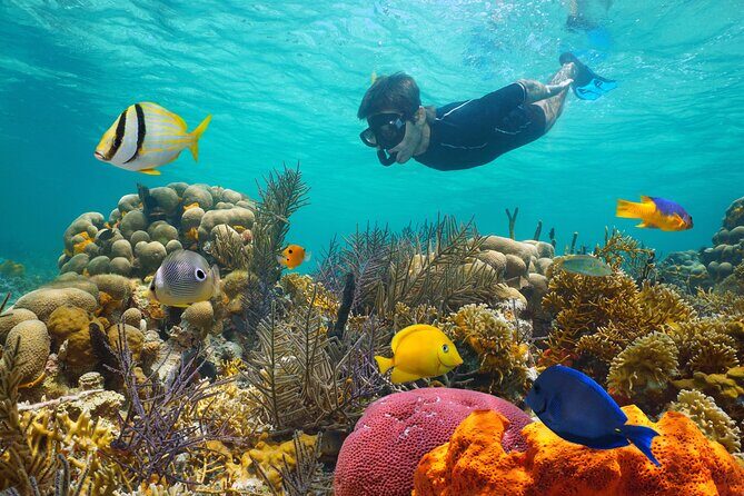 Key West Afternoon Reef Snorkeling with Open Bar - Snorkeling: Equipment & Instruction