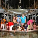 Key West Aquarium Admission - Entry and Ticketing: Simplicity Matters