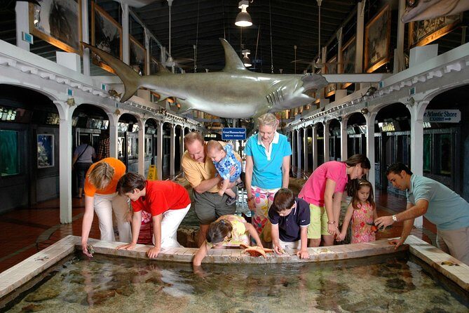 Key West Aquarium Admission - Entry and Ticketing: Simplicity Matters