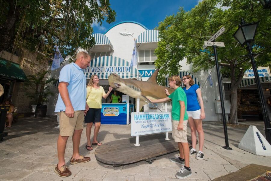Key West Aquarium Tickets - Insights from Visitors and What It Means for You