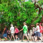 Key West: Cuban and Caribbean Food and Cultural Walking Tour - What Makes This Tour Special?