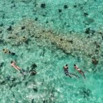 Key West Dolphin and Snorkel Experience - Analyzing the Value