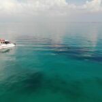Key West: Dolphin & Reef Snorkel Trip with Sunset Option - Authentic Experiences & Important Considerations