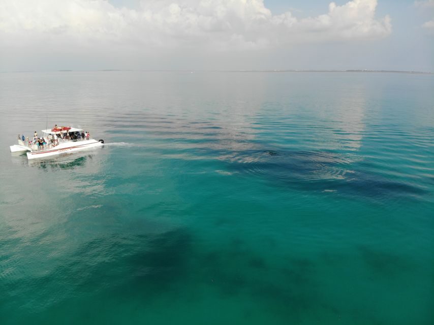 Key West: Dolphin & Reef Snorkel Trip with Sunset Option - Authentic Experiences & Important Considerations