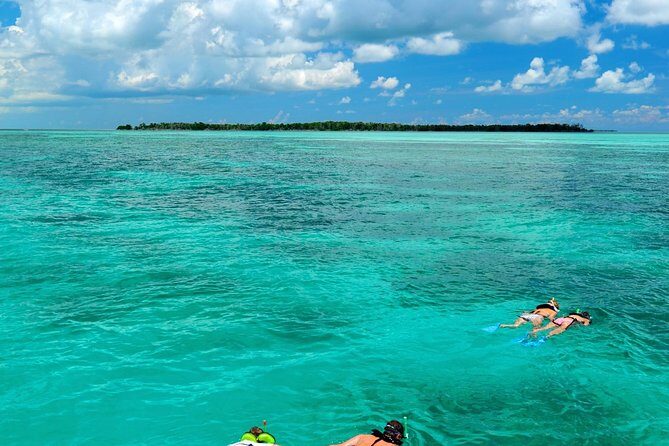 Key West Dolphin Watch and Snorkel Tour - Eco Adventure - Snorkeling at Florida’s Backcountry