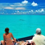 Key West: Dolphin Watching and Snorkeling Eco Cruise Tour - The Fine Details: What Really Matters