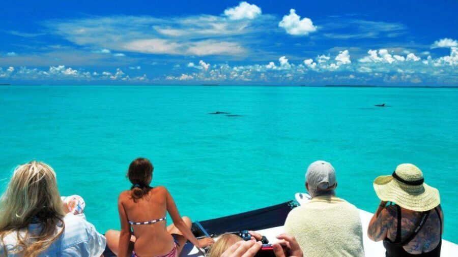 Key West: Dolphin Watching and Snorkeling Eco Cruise Tour - The Fine Details: What Really Matters