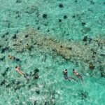 Key West: Dolphin Watching and Snorkeling Sunset Cruise - What’s Included and What to Keep in Mind