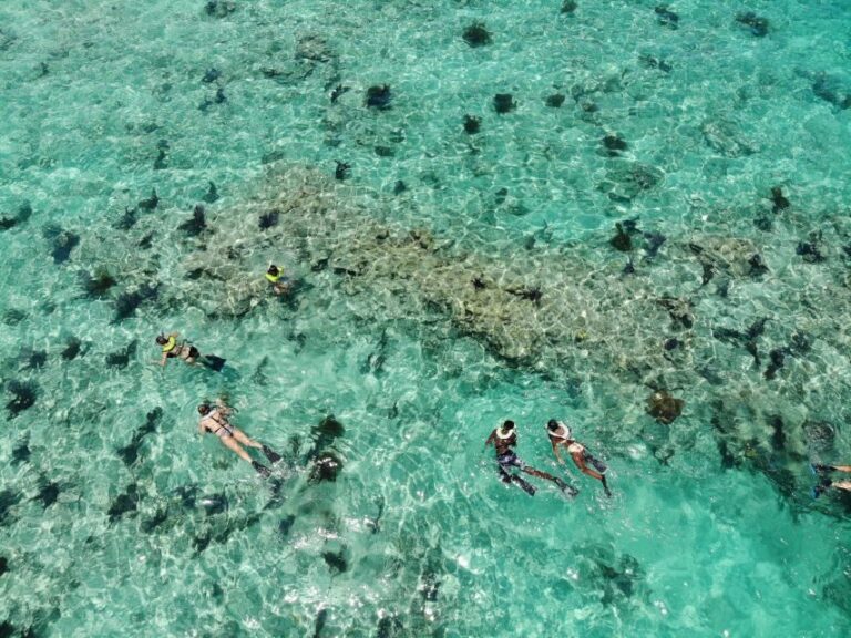 Key West: Dolphin Watching and Snorkeling Sunset Cruise - What’s Included and What to Keep in Mind