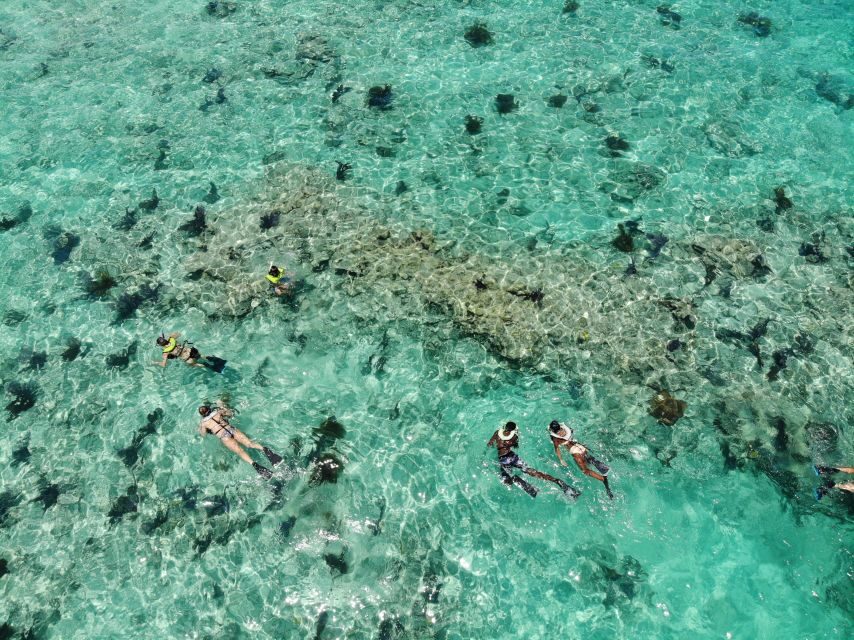 Key West: Dolphin Watching and Snorkeling Sunset Cruise - What’s Included and What to Keep in Mind