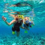 Key West: Dolphin Watching cruise & Snorkeling unlimited beer & soda - Deep Dive into the Experience