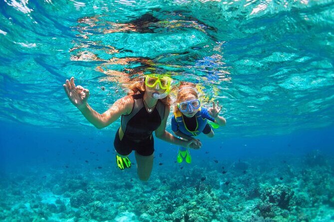 Key West: Dolphin Watching cruise & Snorkeling unlimited beer & soda - Deep Dive into the Experience