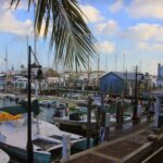Key West: Hemingway's Life and Local Food Walking Tour - Key Points