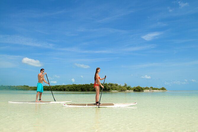 Key West Island Eco Tour with Transportation from Miami - What You Get for the Price