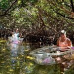 Key West Kayak Eco Tour | An Eco-Friendly Adventure Awaits! - Group Dynamics and Tour Atmosphere