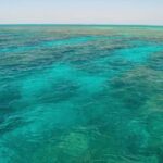 Key West Reef Snorkel & Sail Adventure - Final Thoughts: Is It Worth It?