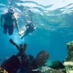 Key West: Reef Snorkeling with Drinks and Sunset Option - The Itinerary Explored