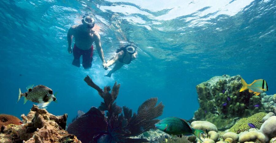 Key West: Reef Snorkeling with Drinks and Sunset Option - The Itinerary Explored